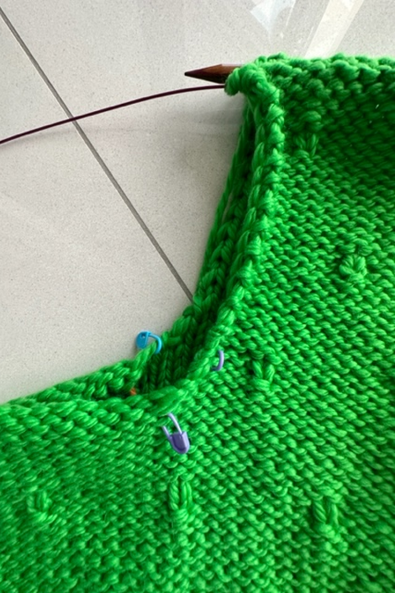 Winter Sweater mit Zopf - yarni.ch